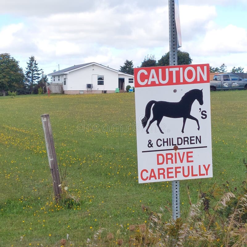 Caution Horses and Children Drive Carefully Sign in Pei Stock Image ...