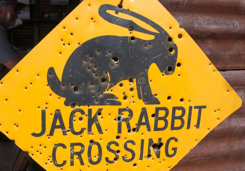 147 Rabbit Crossing Stock Photos - Free & Royalty-Free Stock Photos ...