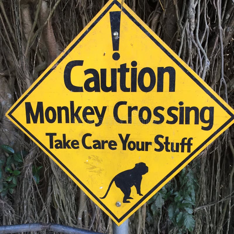 Caution monkey crossing stock image. Image of road, warning - 66899979