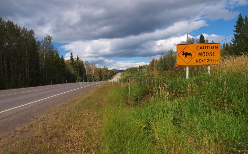 Caution moose sign stock photo. Image of sign, yellow - 87331398