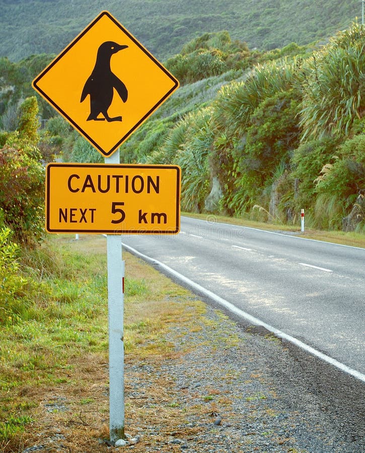 Caution penguin sign stock photo. Image of caution, forrest - 33009390