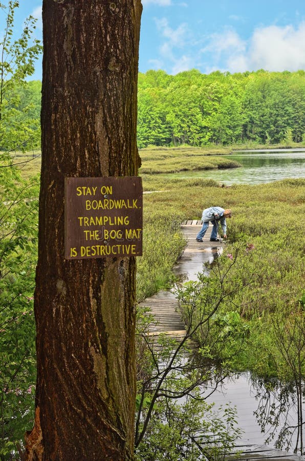 Caution Sign at Bog stock photo. Image of nature, summer - 24252148