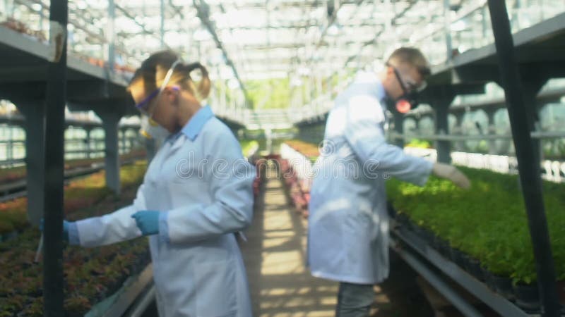 Worker in Protective Uniform Hosing Plants in Greenhouse, Warning Sign ...