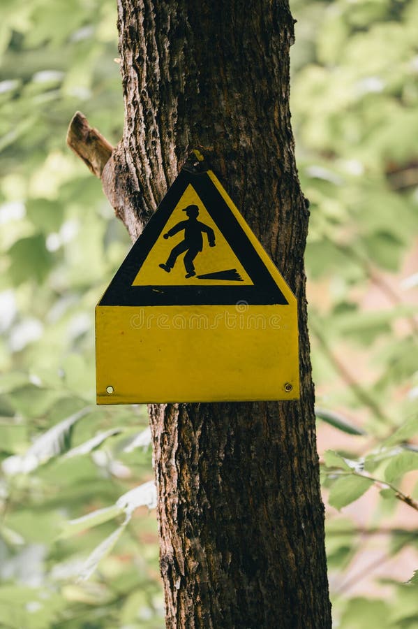 Caution Sign Hanging on a Tree Amidst Fallen Leaves in a Forest Stock ...
