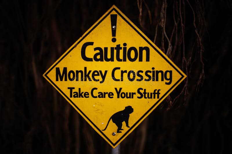 Caution sign stock photo. Image of yellow, monkey, forrest - 68343692