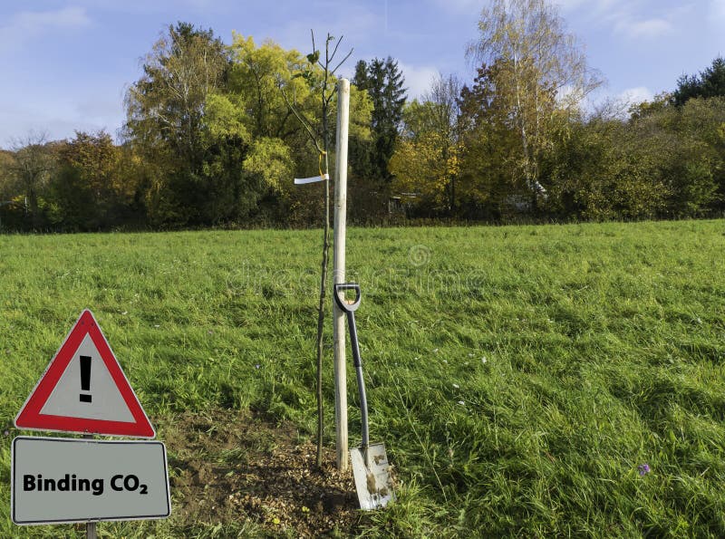 Co Planting Stock Photos - Free & Royalty-Free Stock Photos from Dreamstime