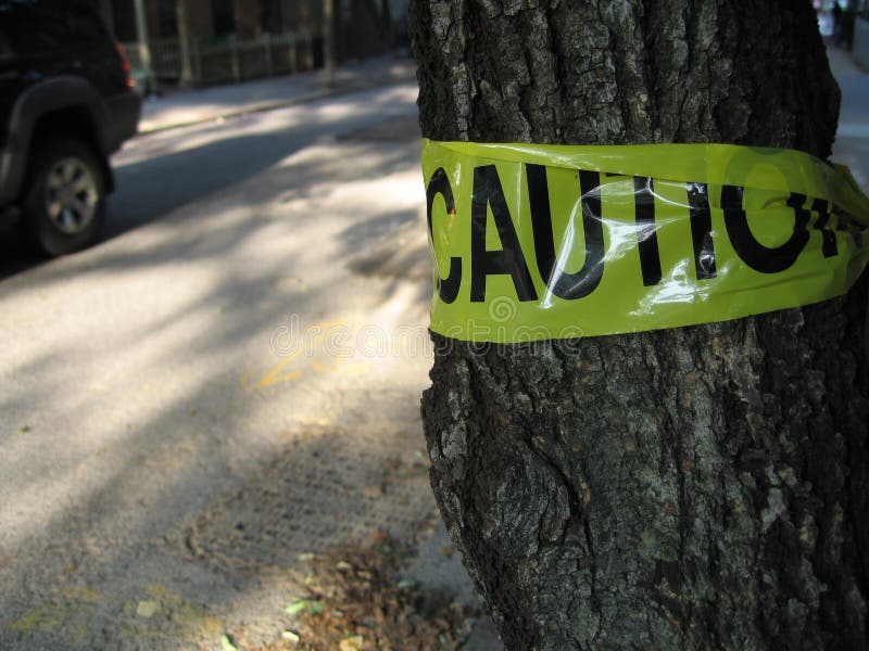 Caution sign on tree stock photo. Image of verge, alert - 950510