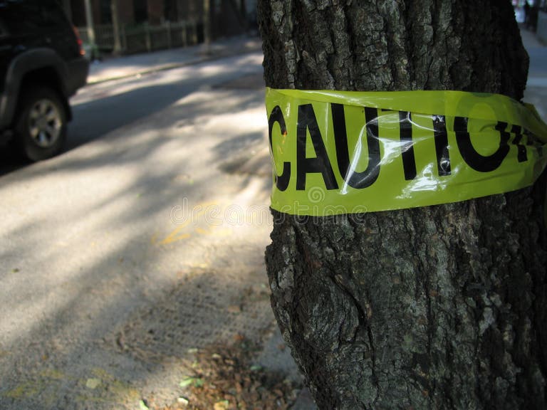 Caution sign on tree stock photo. Image of verge, alert - 950510