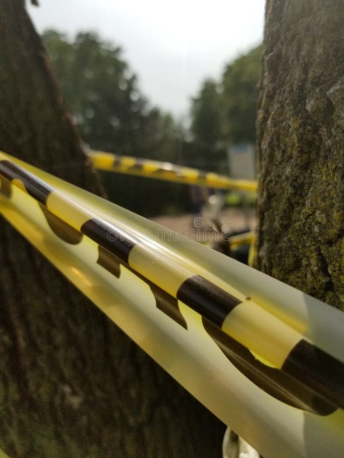Caution Tape stock image. Image of tree, tape, cause - 123924007