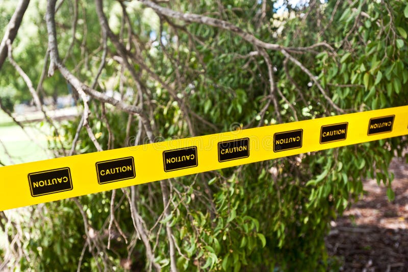 Caution tape, trees stock image. Image of restricted - 29839083