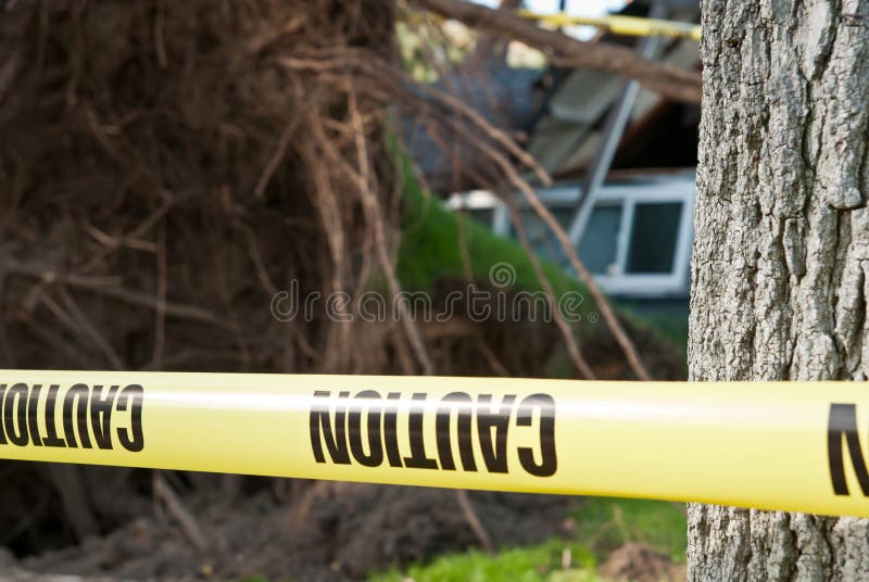 Caution Tree Crash Danger Zone Stock Image - Image of restrict ...
