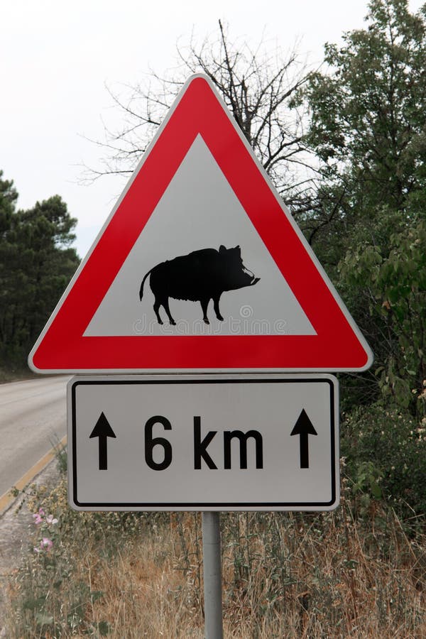 Caution Wild Boar Road Sign Picture. Image: 23729483