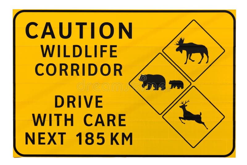 Caution Wildlife Corridor Road Sign Stock Photo - Image of danger, sign ...