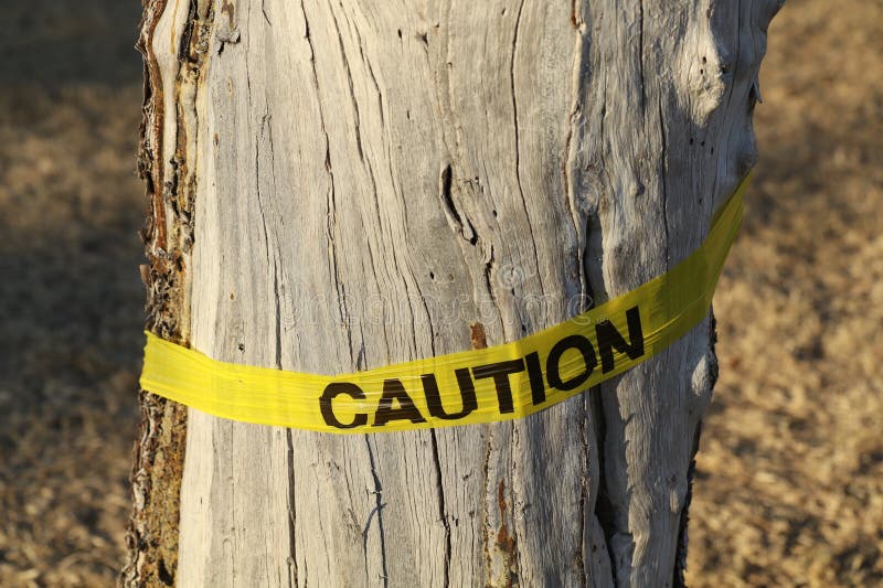 Yellow Caution Tape Over Dry Wood Stock Photo - Image of tape, strip ...