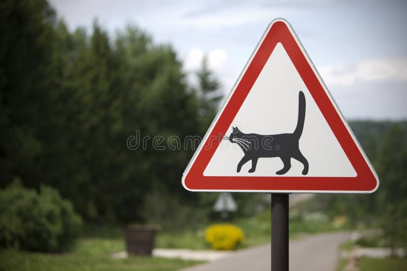 Road Warning Sign Indicating Cats are Crossing Stock Image - Image of ...