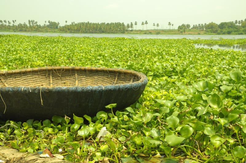 Cauvery stock photo. Image of butiful, water, erode, river - 55288966