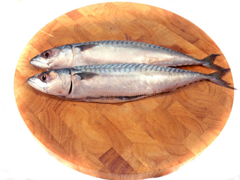 Duas Faixas De Peixes Da Cavala Foto de Stock - Imagem de animal ...