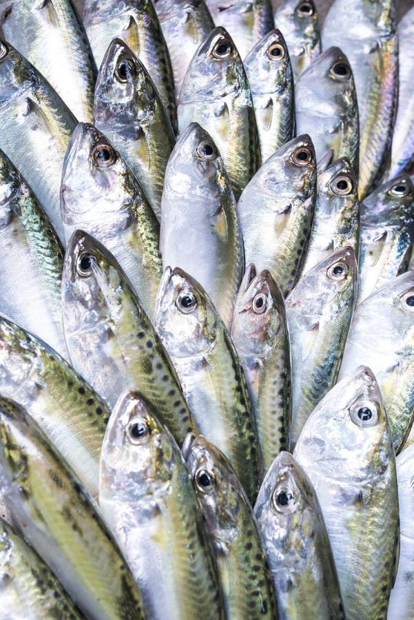 Cavala No Gelo No Mercado Do Marisco Imagem de Stock - Imagem de jantar ...