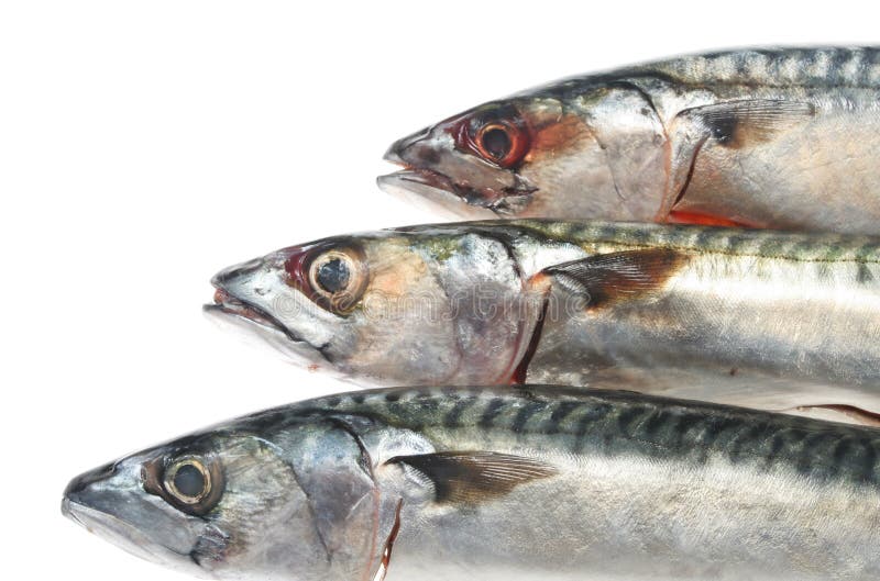 Grupo De Peixes Da Cavala Em Vegetais Diferentes Foto de Stock - Imagem ...