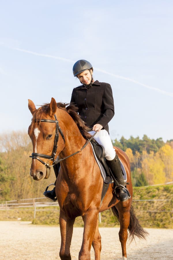 Cavalier à cheval photo stock. Image du horseback, gens - 66311512