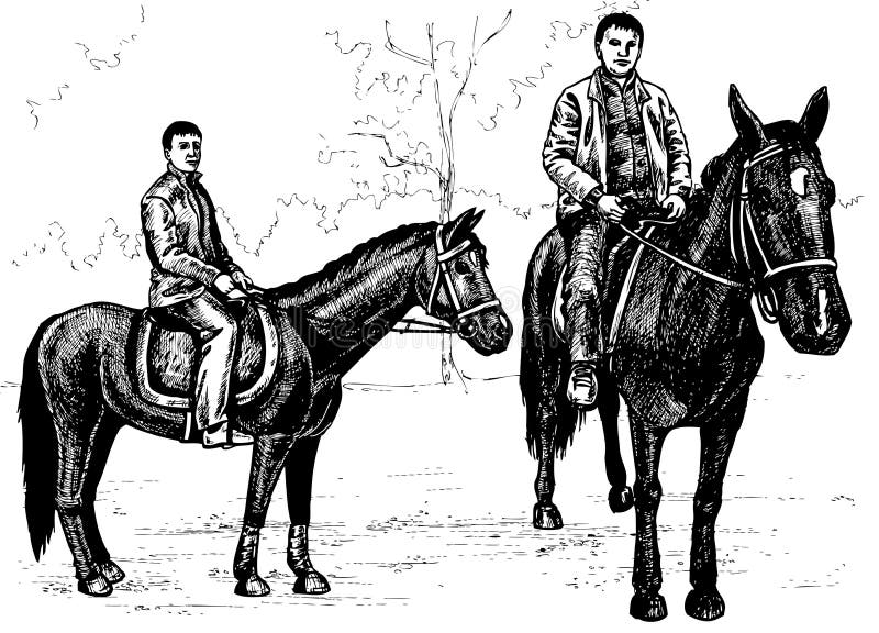 Cavalier illustration de vecteur. Illustration of cheval - 36446133