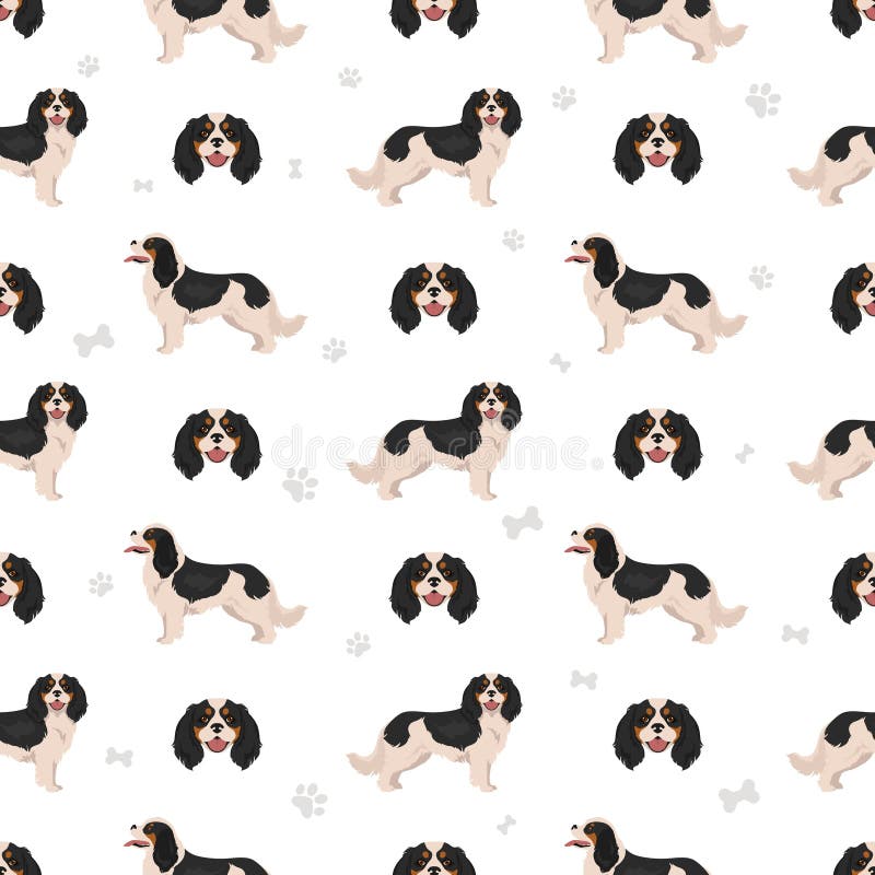 Cavalier King Charles Spaniel Seamless Pattern Stock Vector ...