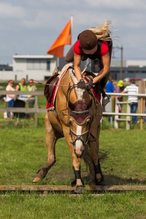 Cavaliere Che Cade Dal Cavallo Fotografia Editoriale - Immagine di ...