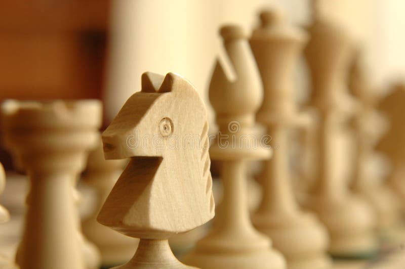 Cavallo degli scacchi fotografia stock. Immagine di intelligenza - 3102856