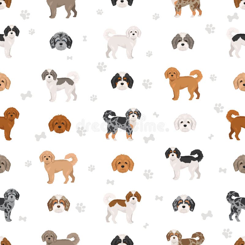 Cavoodle Stock Illustrations – 49 Cavoodle Stock Illustrations, Vectors ...
