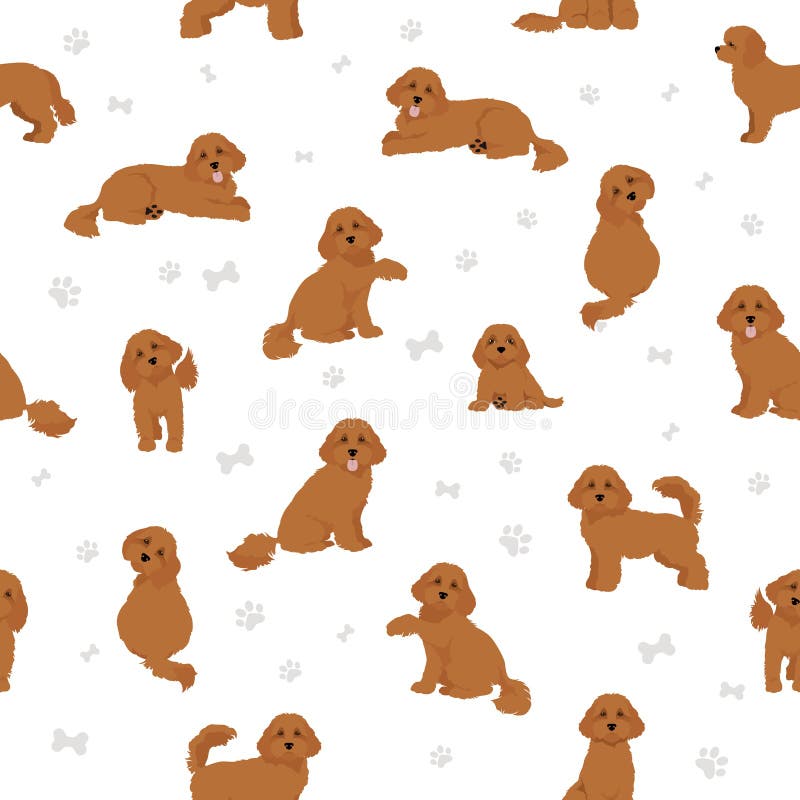 Cavapoo Stock Illustrations – 456 Cavapoo Stock Illustrations, Vectors ...