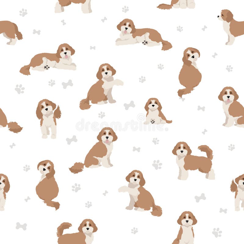 Cavapoo Vector Stock Illustrations – 86 Cavapoo Vector Stock ...