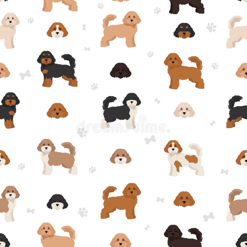Cavapoo Vector Stock Illustrations – 86 Cavapoo Vector Stock ...