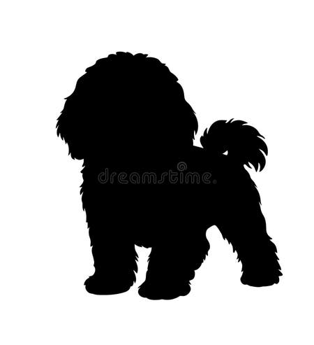Cavapoo silhouette stock vector. Illustration of paws - 375119124