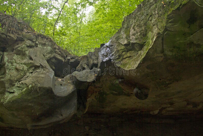Cave stock image. Image of cave, precipice, trees, woodland - 91311671
