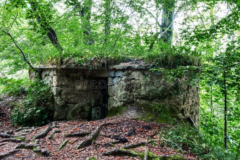 Cave of the Druids. Dolmen in the Forest Stock Photo - Image of ...