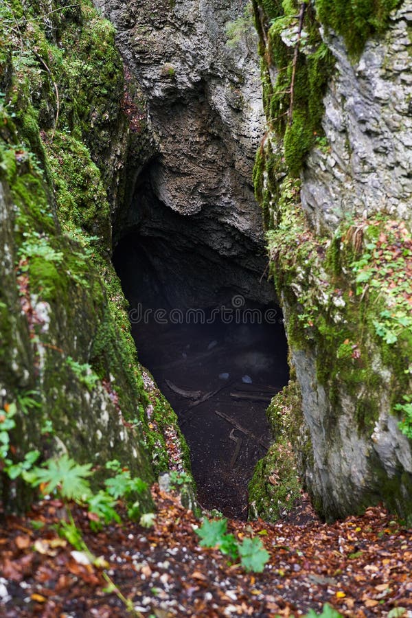 Cave Entrance in the Forest Stock Photo - Image of deep, mysterious ...