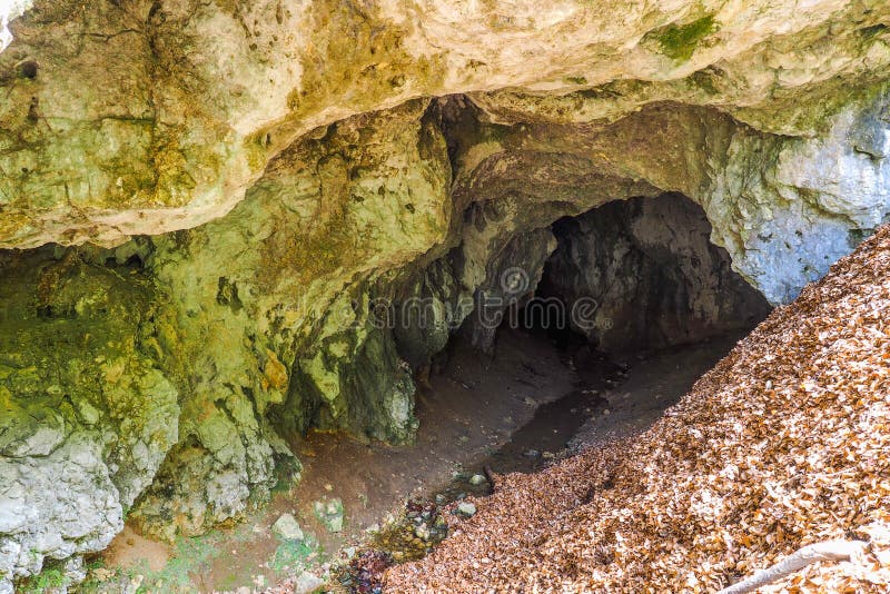 Cave entrance stock photo. Image of forest, beam, entrance - 70653316