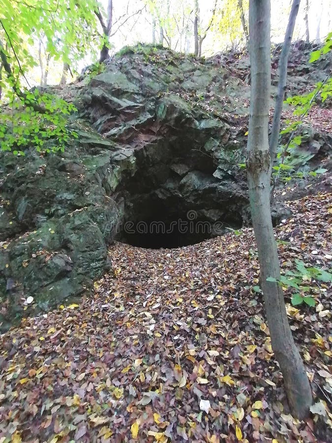 Cave in forest stock photo. Image of pond, forest, woodland - 215555220