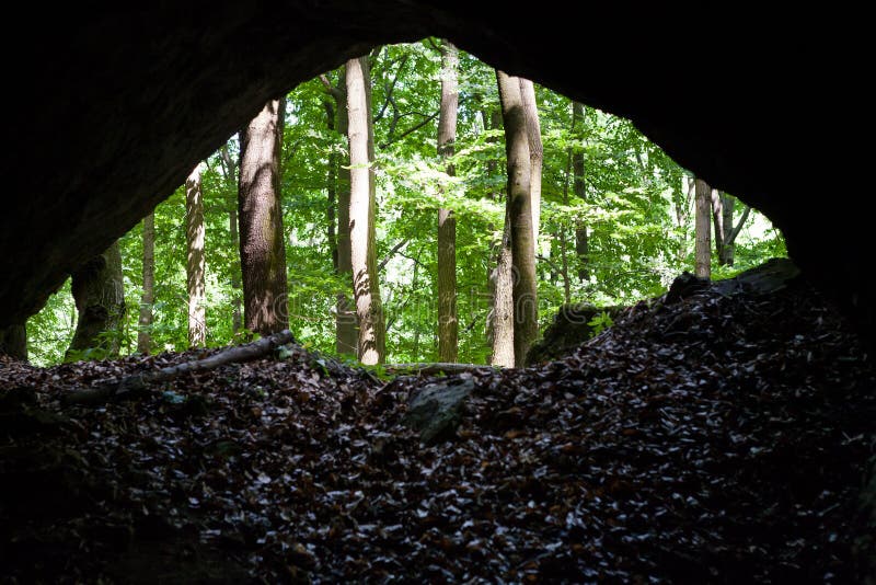 Forest cave stock photo. Image of ukraine, warm, forest - 19023946