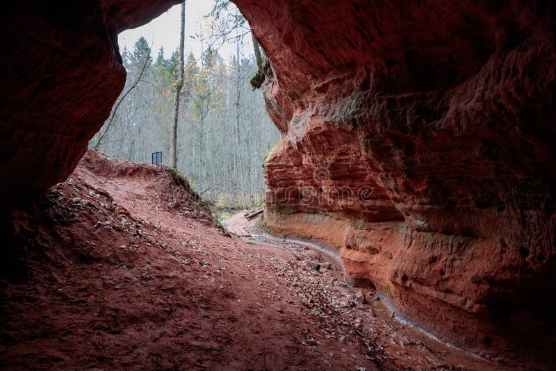 Cave in the Forest through Which the River Flows Inside View Stock ...