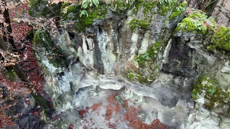 The Cave Grotto in the Forest Stock Video - Video of dark, hole: 165471017