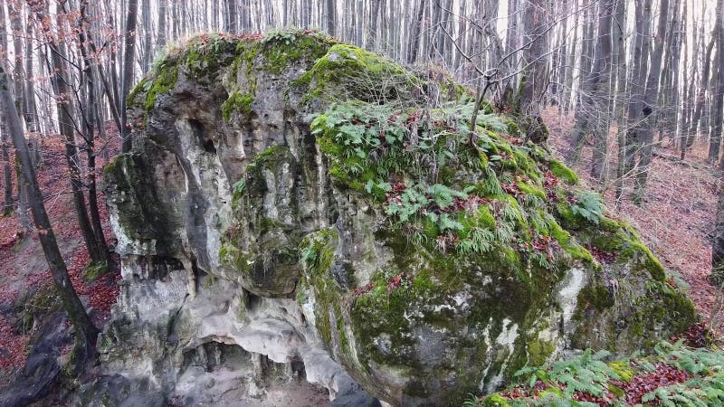 The Cave Grotto in the Forest Stock Video - Video of colorful, geology ...