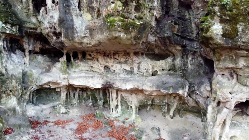 The Cave Grotto in the Forest Stock Video - Video of cavern, grotto ...