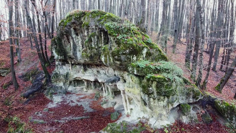The Cave Grotto in the Forest Stock Footage - Video of coastline ...