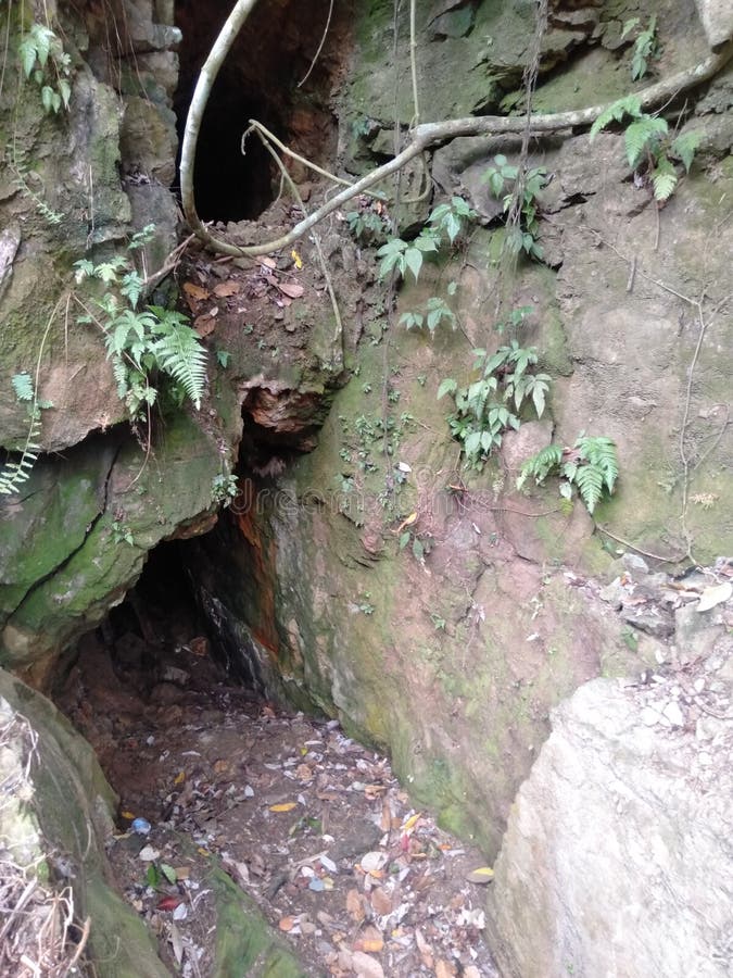 Cave hole stock photo. Image of forest, hole, montain - 221857910
