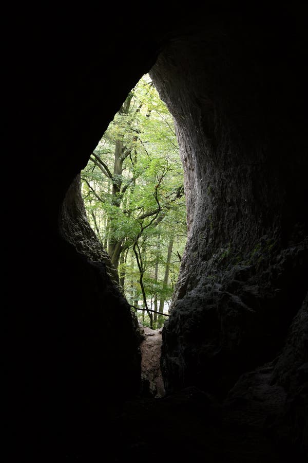 Tree cave stock image. Image of hollow, rottennes, hole - 1046385