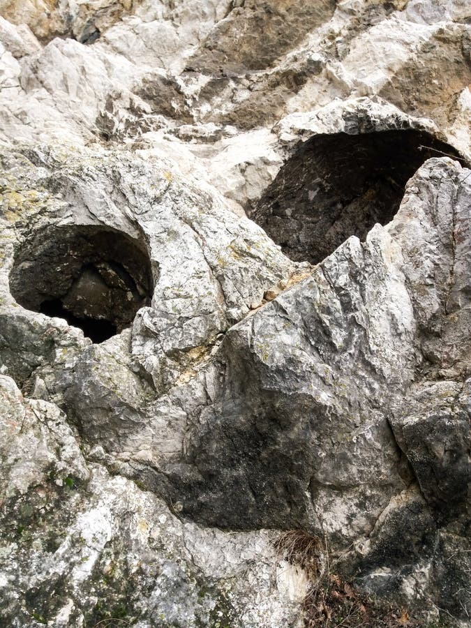 Cave monster stock photo. Image of extreme, cold, dissolve - 19410056