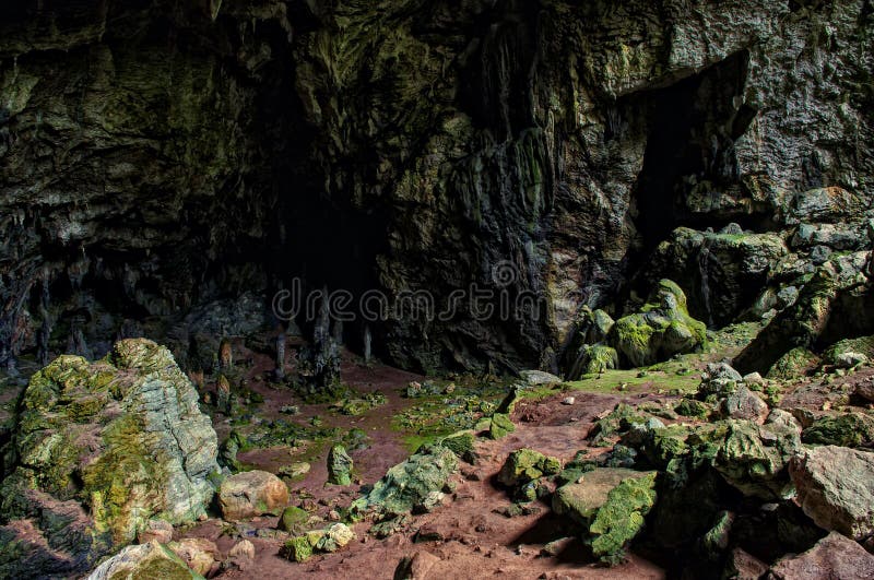Moss Covered Cave with Green Fern Leaves at Foreground Stock Photo ...