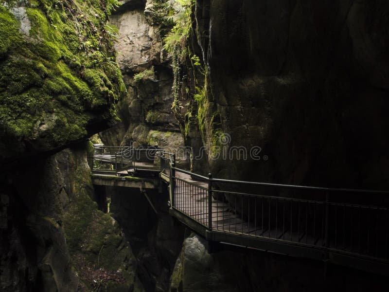 Cave. stock image. Image of leaves, plants, mountains - 92057227