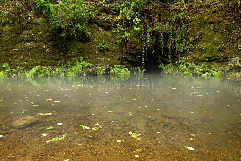 Cave and pond in forest stock photo. Image of landscape - 22809304